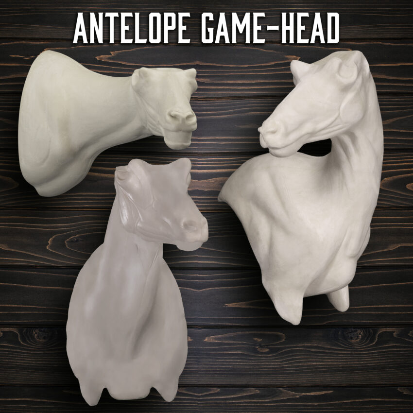 North American Game-Head Archives | Research Mannikins Taxidermy Supply