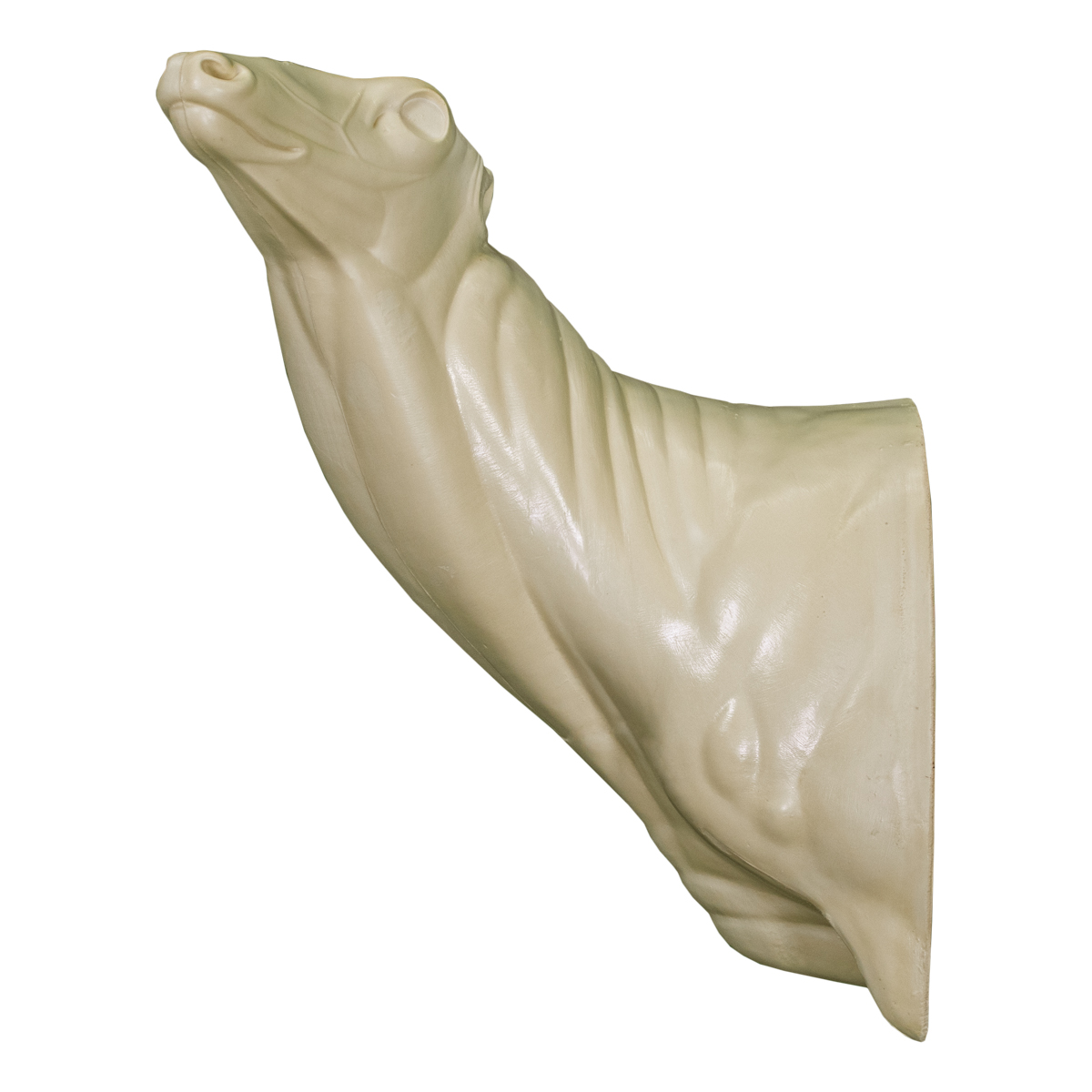Whitetail Eppley Slim Faced, Raised Head Offset 7 1/4" x 12 3/4" x 20 ...